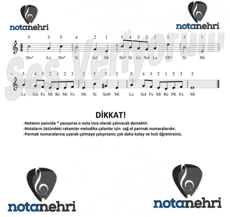 Polyushka Polye Melodika Notaları - Nota Nehri