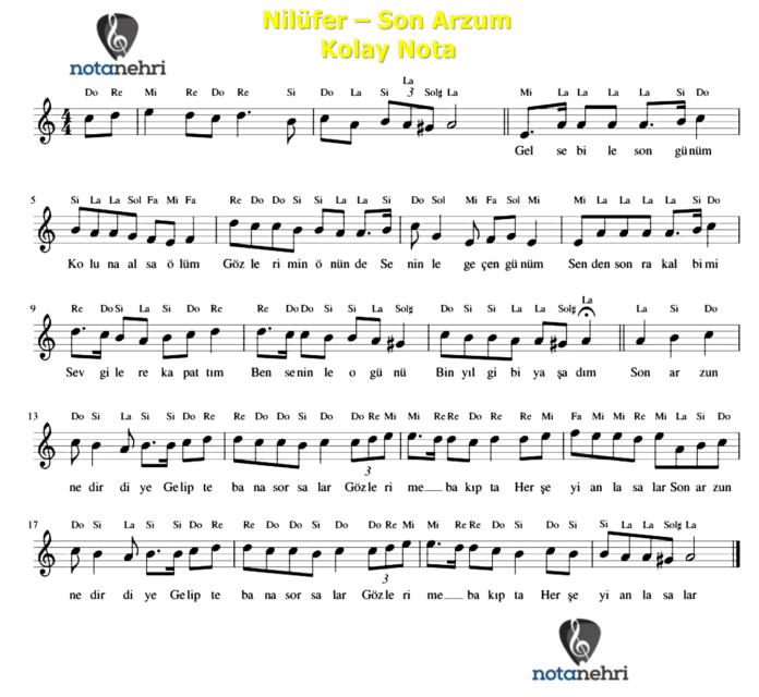 Nilüfer – Son Arzum Keman, Melodika, Flüt Notaları - Nota Nehri